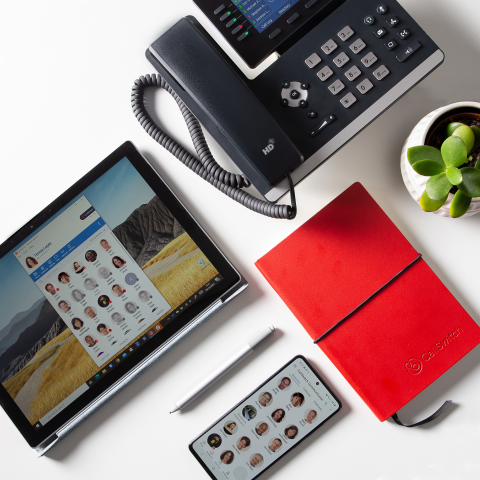 CallSwitch VoIP cloud-based Internet-hosted telephone system